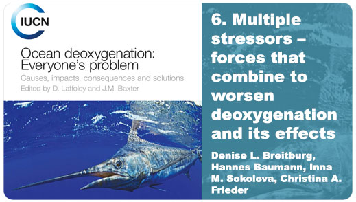 [New Publication] IUCN published ocean deoxygenation report ...