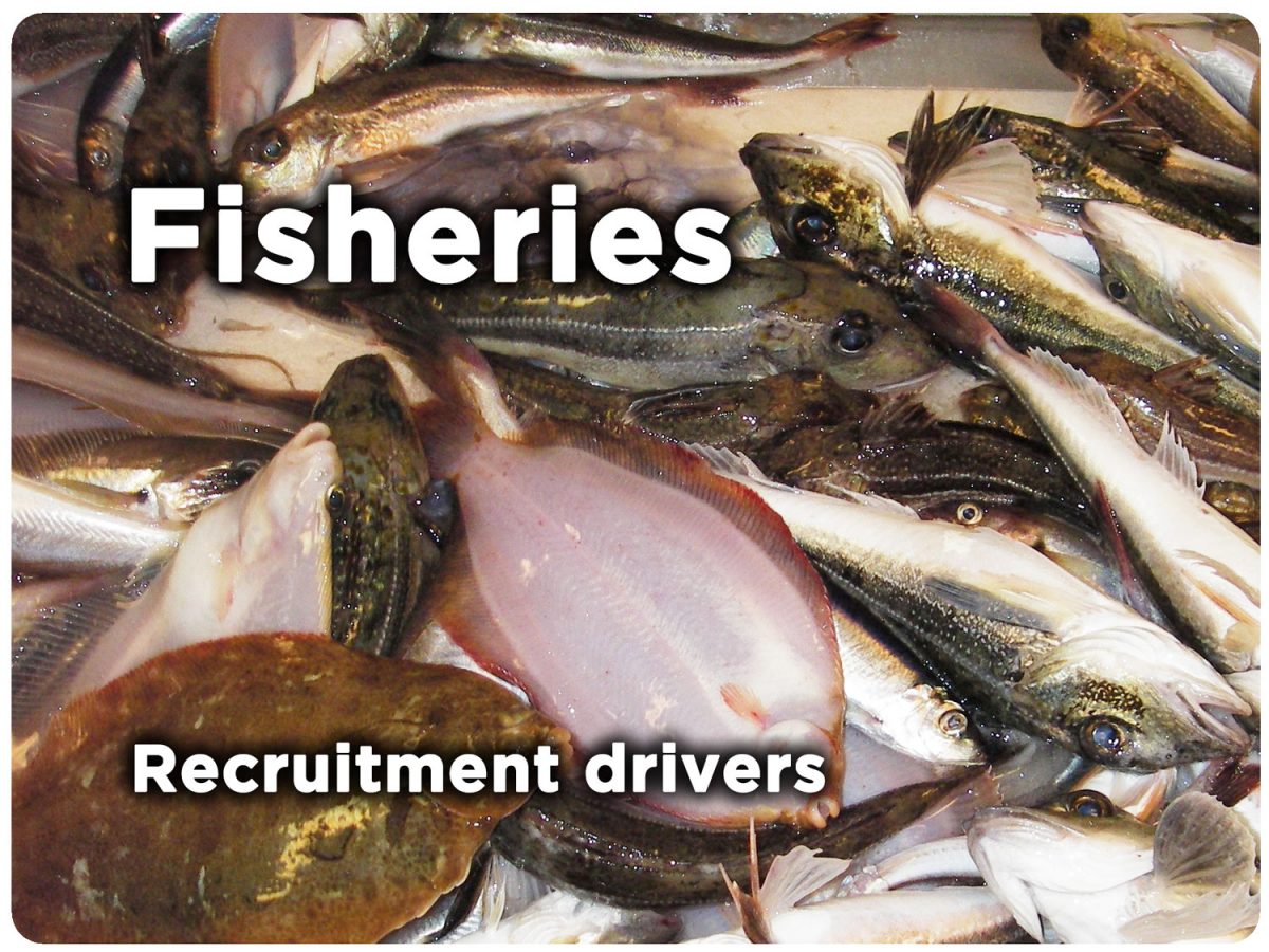 Baumann lab - Research overview | Evolutionary Fish Ecology